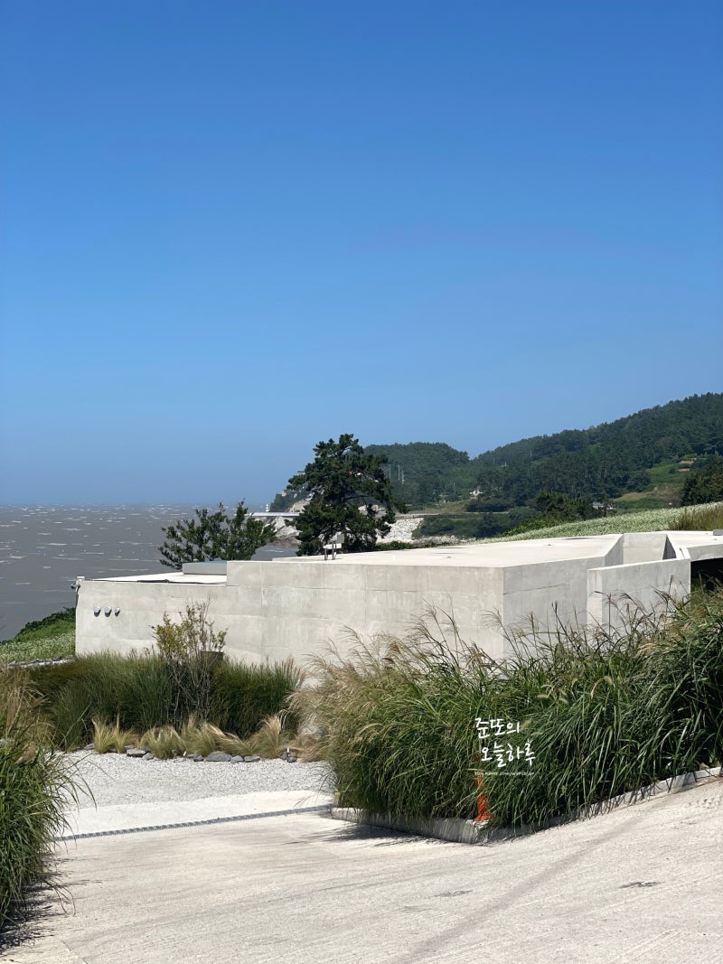 영광 백수해안도로 카페 보리 서해바다 오션뷰 드라이브코스 가볼만한곳 넓은 메밀밭 꽃구경이 기다리는 전남 여행지 추천 네이버 블로그
