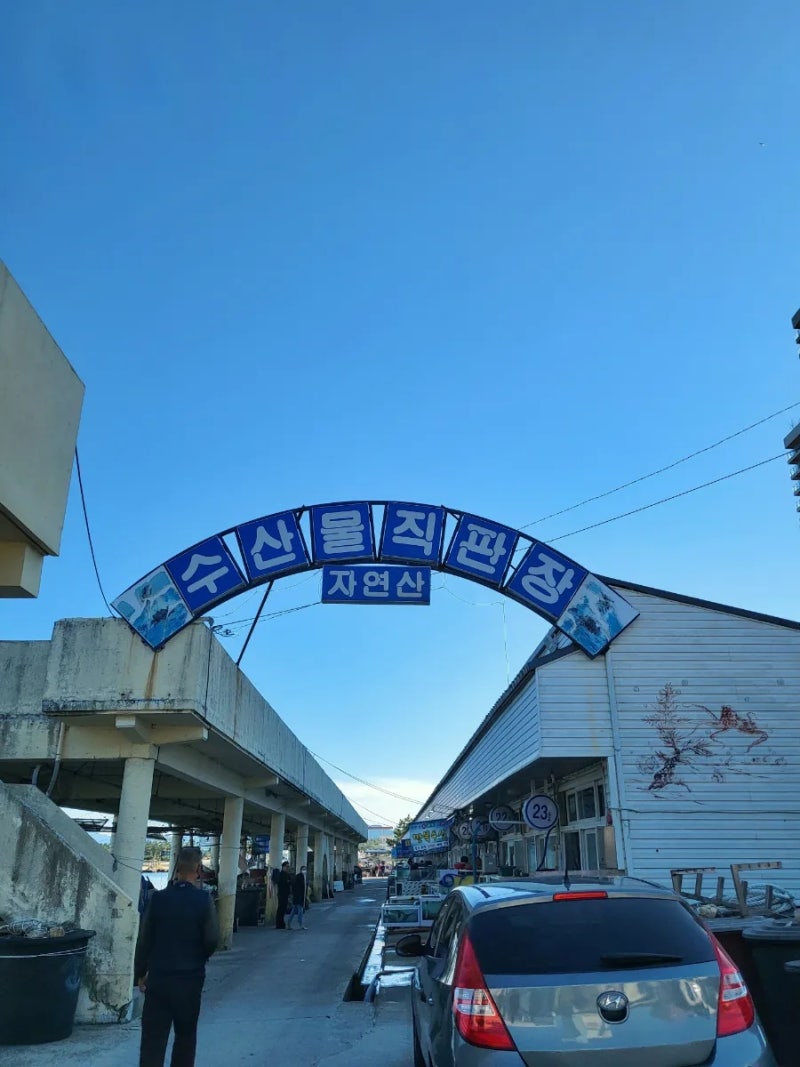 강릉 사천 횟집 포장 자연산 수산물 직판장 야장 포차 분위기 오션뷰 야외 테이블 네이버 블로그
