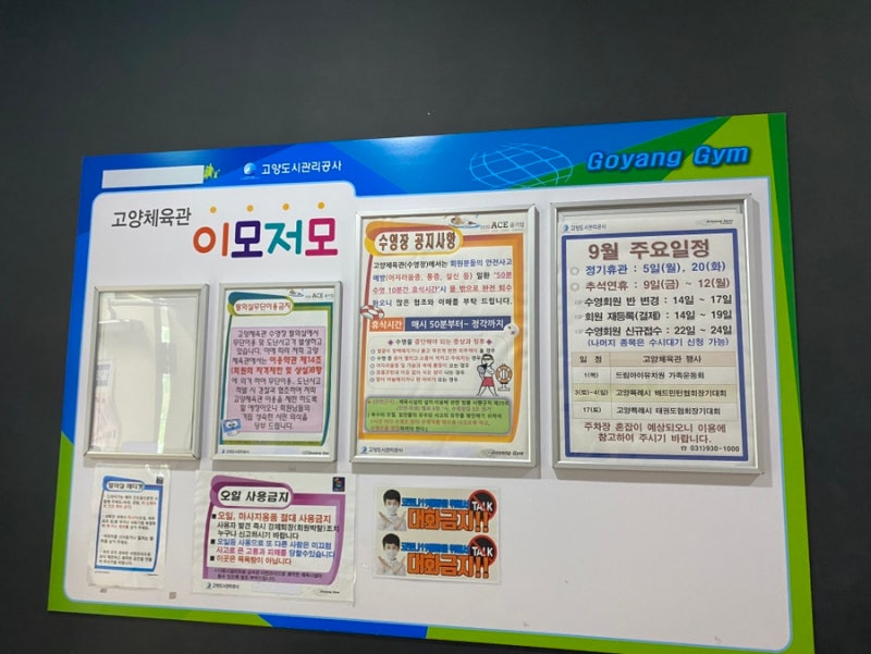 고양체육관 수영장 자유수영 시간표 시설안내 강습후기 등 네이버 블로그