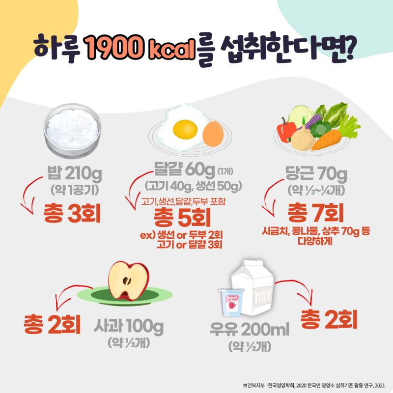 건강한 한 끼🍚 식품구성 자전거🚲에 대해 알아볼까요 네이버 블로그