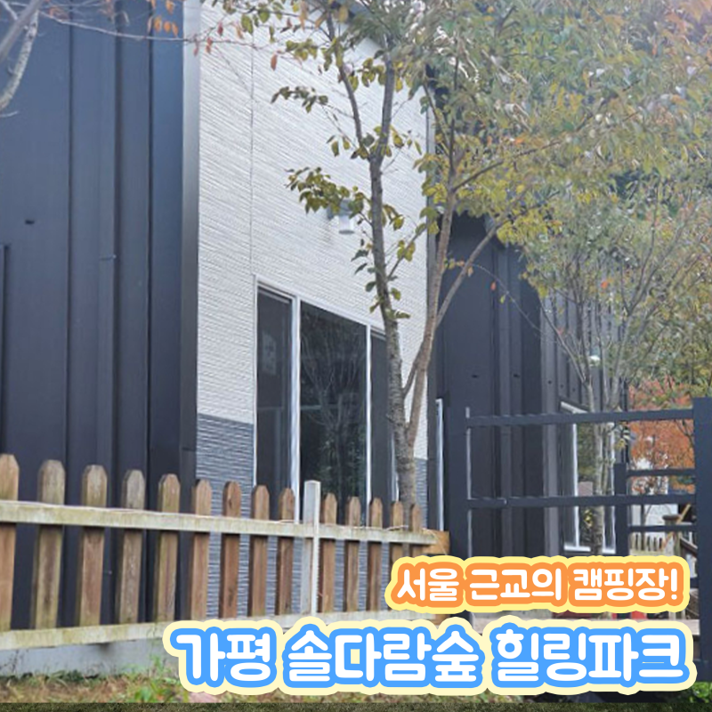 경기도 가평 서울 근교의 캠핑장을 찾고있다면 가평 솔다람숲 힐링파크 네이버 블로그