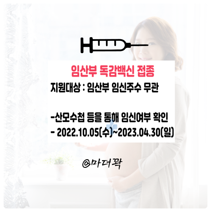 2022 독감예방접종 가격 아기 독감주사 시기 인플루엔자 백신 무료접종 W 계란알러지 네이버 블로그