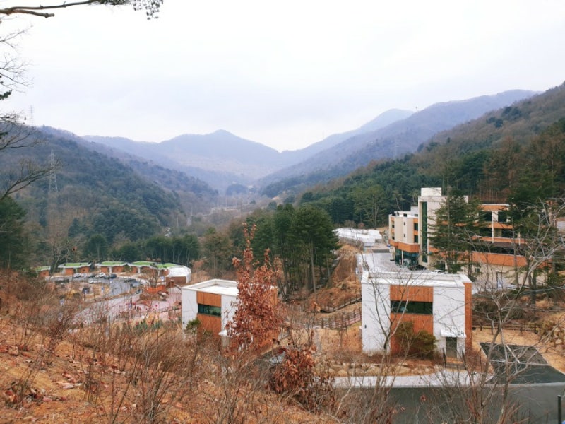 동두천자연휴양림 휴양관 204호 단층집 6호 복층집 야영장 놀이터 산책로 네이버 블로그