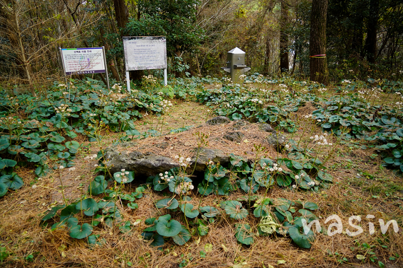 557-2. 제주 '제주대학교 아라캠퍼스' 대학탐방 : 학교 안에 오름이 있다? 권제오름~ : 네이버 블로그