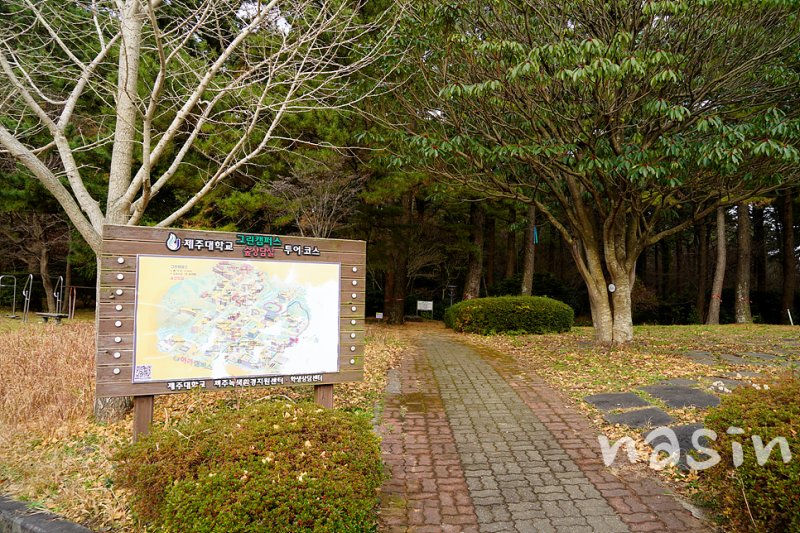 557-2. 제주 '제주대학교 아라캠퍼스' 대학탐방 : 학교 안에 오름이 있다? 권제오름~ : 네이버 블로그