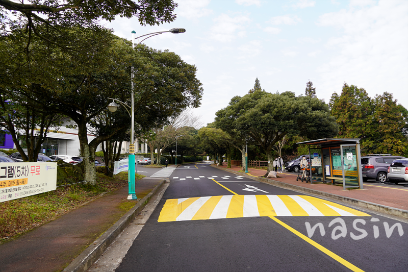 557-2. 제주 '제주대학교 아라캠퍼스' 대학탐방 : 학교 안에 오름이 있다? 권제오름~ : 네이버 블로그