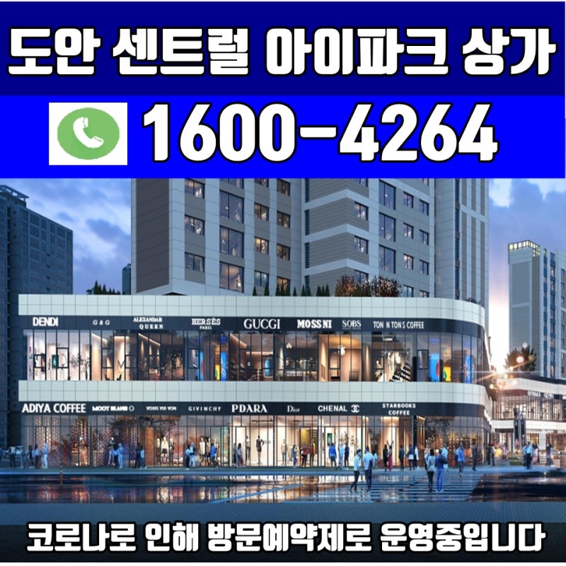 대전 도안 센트럴 아이파크 단지내 상가 분양정보 네이버 블로그