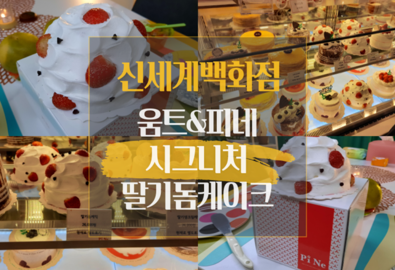판교 현대백화점 케이크 추천 Madiu 마듀 판교점 Cake 종류 가격대 정보 리뷰 너무 달지 않아서 맛있는