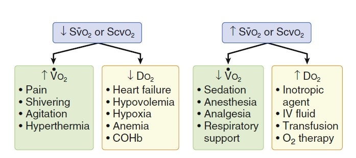 ABGA 검사결과 확인하는 법 - 간호사가 알아야 하는 모든 것 : 네이버 블로그