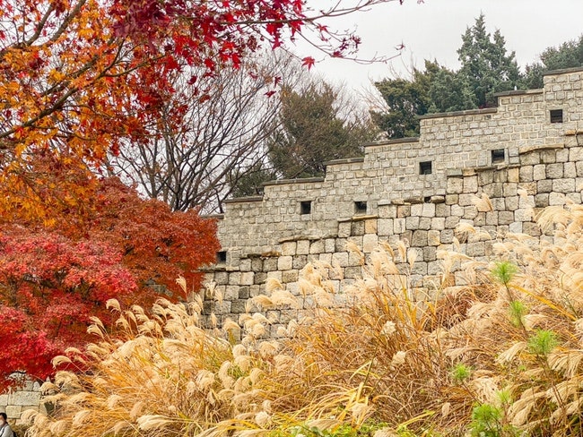 수원 행궁동 놀거리 데이트 겸 산책하기 좋은 화서공원 네이버 블로그