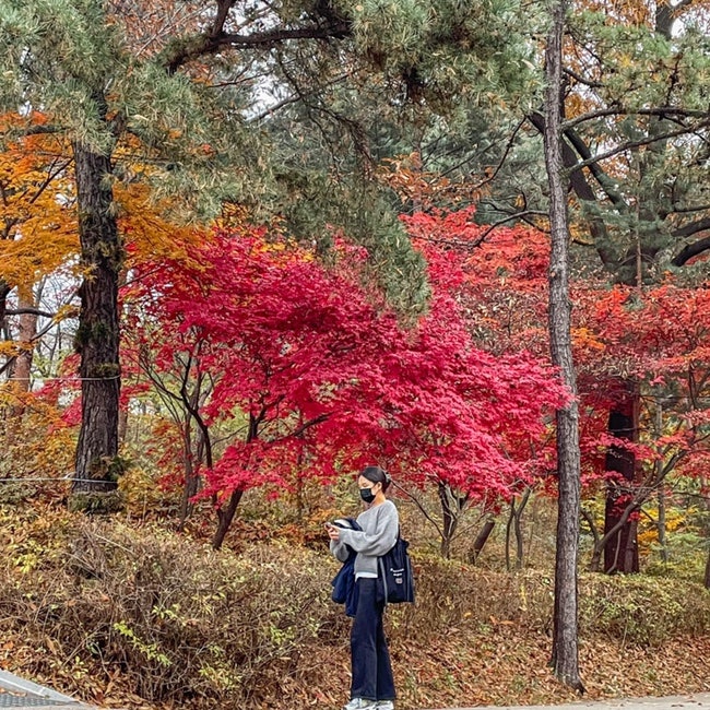 수원 행궁동 놀거리 데이트 겸 산책하기 좋은 화서공원 네이버 블로그