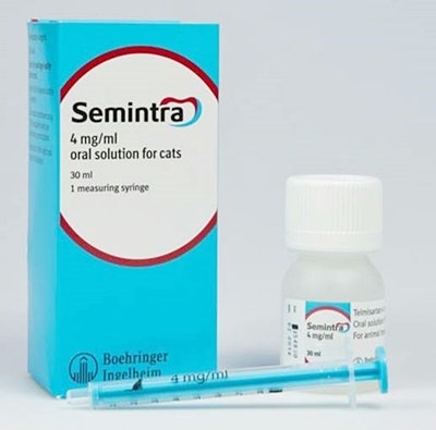 고양이 만성 신부전의 대안이 될 수 있을까 '세민트라(Semintra)' : 네이버 블로그