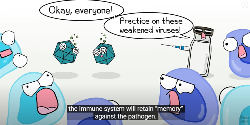 유지하다 영어로? remain vs maintain vs retain vs keep 차이 완벽 분석! : 네이버 블로그