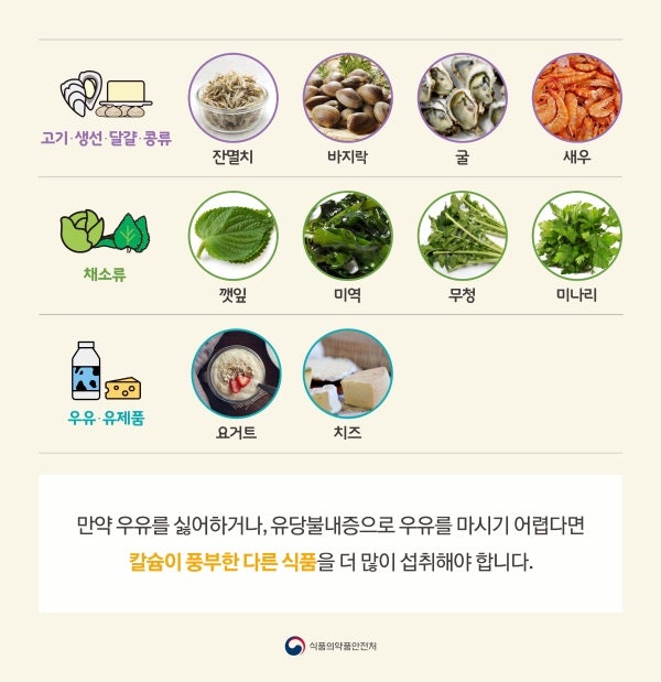 임산부 영양제 종류 및 섭취방법 총정리 Feat 하루 권장 섭취량주의사항 네이버 블로그