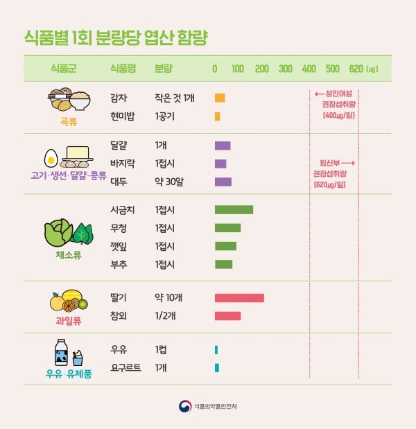 임산부 영양제 종류 및 섭취방법 총정리 Feat 하루 권장 섭취량주의사항 네이버 블로그