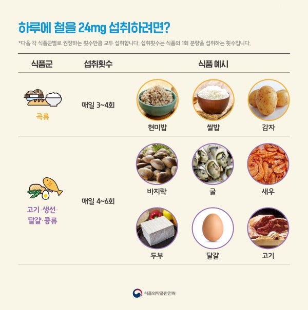 임산부 영양제 종류 및 섭취방법 총정리 Feat 하루 권장 섭취량주의사항 네이버 블로그