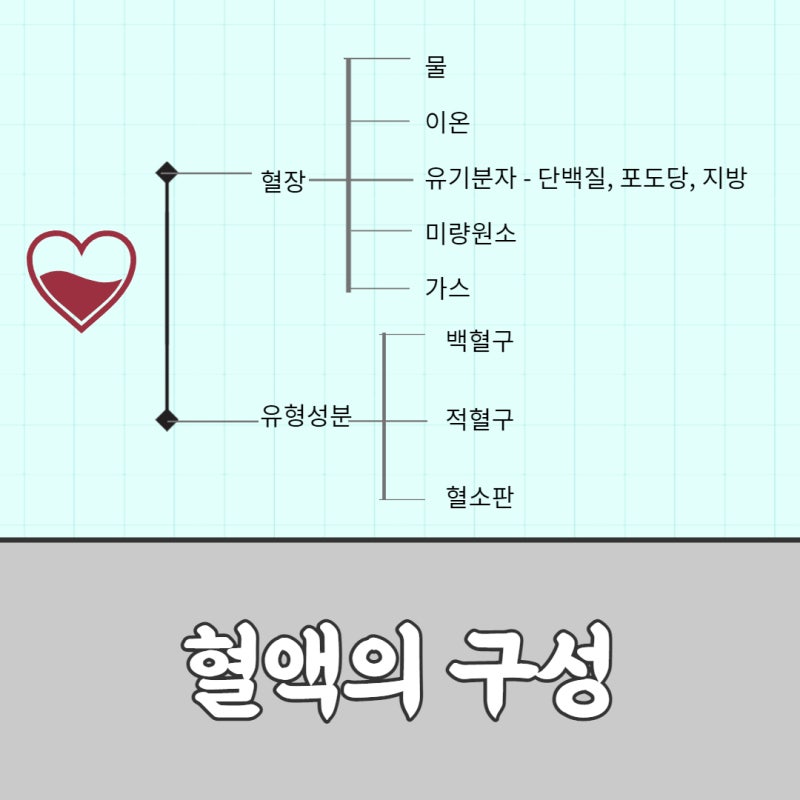 성인 정상 맥박수와 혈압 맥박 호흡수 체온 4가지 사인에 대해서 네이버 블로그