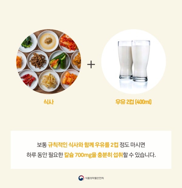 임산부 영양제 종류 및 섭취방법 총정리 Feat 하루 권장 섭취량주의사항 네이버 블로그