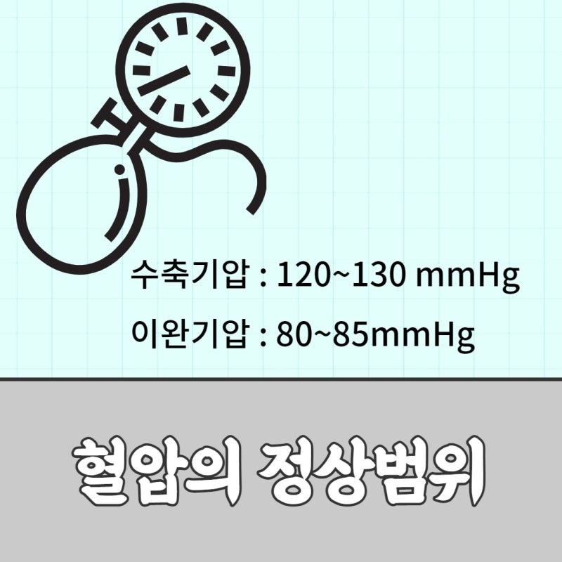 성인 정상 맥박수와 혈압 맥박 호흡수 체온 4가지 사인에 대해서 네이버 블로그