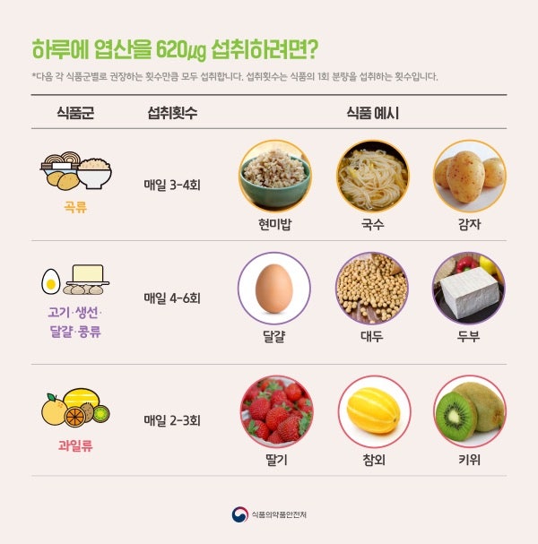 임산부 영양제 종류 및 섭취방법 총정리 Feat 하루 권장 섭취량주의사항 네이버 블로그