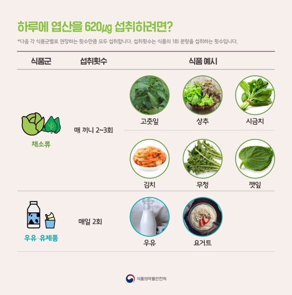 임산부 영양제 종류 및 섭취방법 총정리 Feat 하루 권장 섭취량주의사항 네이버 블로그