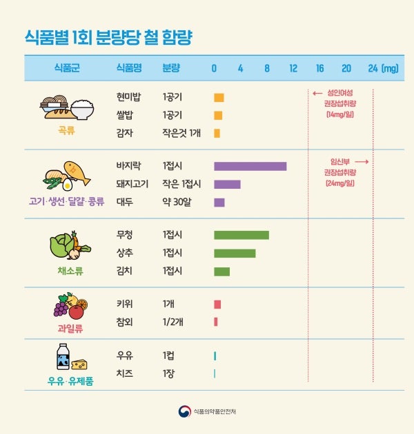 임산부 영양제 종류 및 섭취방법 총정리 Feat 하루 권장 섭취량주의사항 네이버 블로그