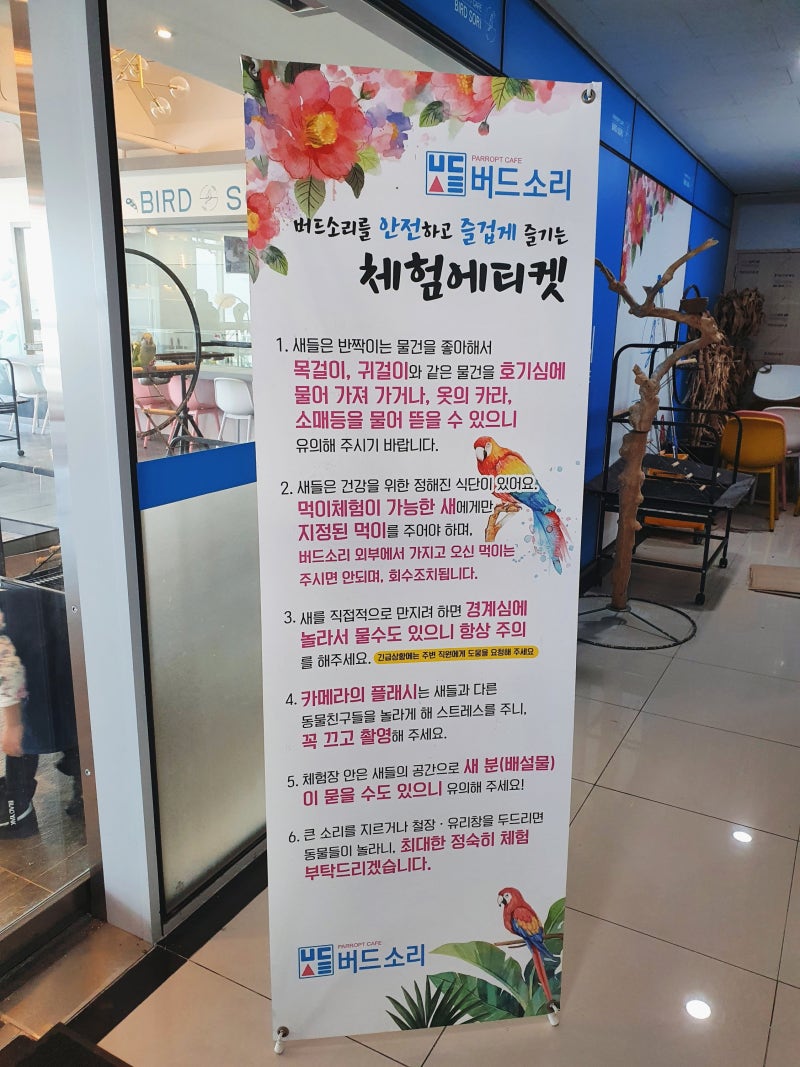 부산 명지 8개월 아기랑 가기좋은 앵무새카페 버드소리 네이버 블로그