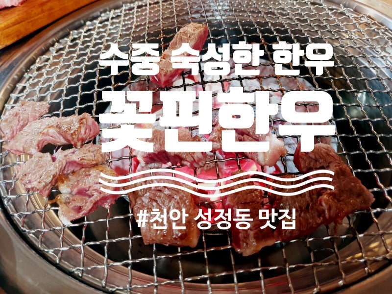 천안 성정동 맛집 수중 숙성으로 부드러운 한우 맛집 꽃핀 한우메뉴 가격 주차 영업시간 네이버 블로그