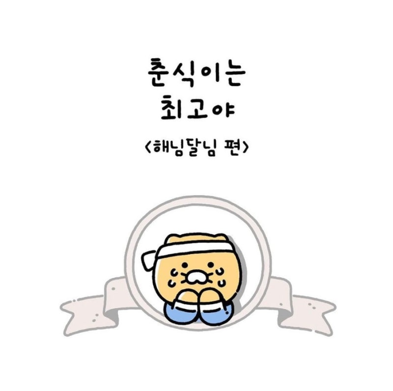 카카오프렌즈 춘식이 이미지 모음 36 네이버 블로그