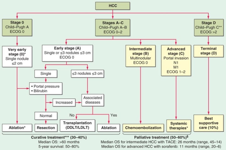 Barcelona Clinic Liver Cancer (BCLC) 2022 개정판 : 네이버 블로그