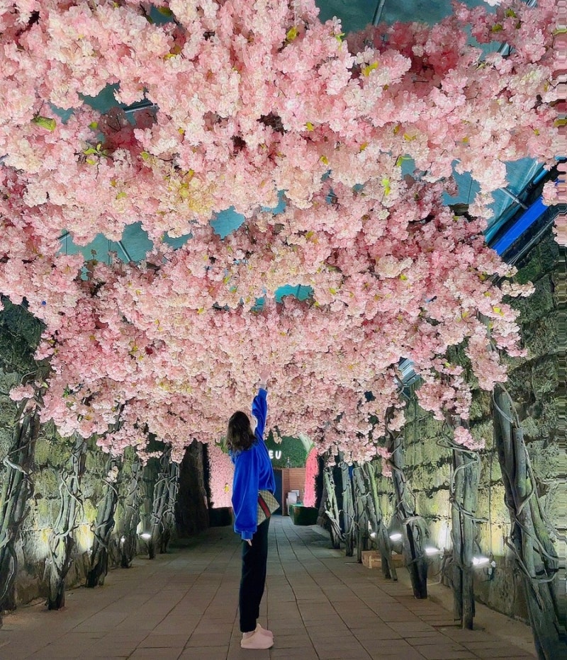 창원 밀양 여행 2일차 밀양 여행코스 부산집트리인블루위양지용평터널트윈터널 네이버 블로그