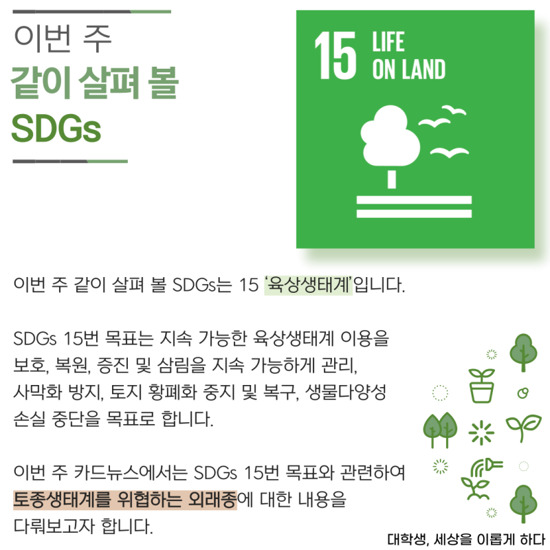 SDGs 15. 토종 생태계의 붕괴, 외래종 전성시대 : 네이버 블로그