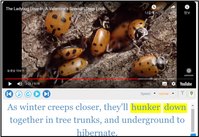 영어저금통 ::: 22. hunker down 뜻 : 네이버 블로그