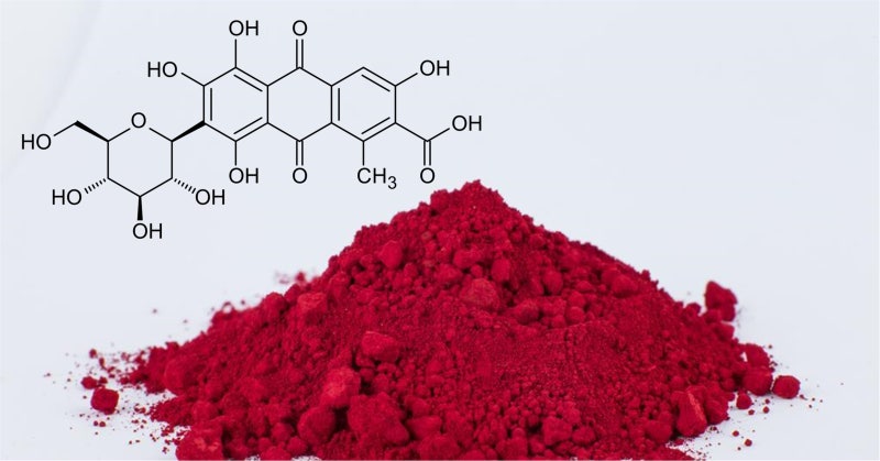 동물성 식용색소의 재조합 미생물을 이용한 생산 : 네이버 블로그