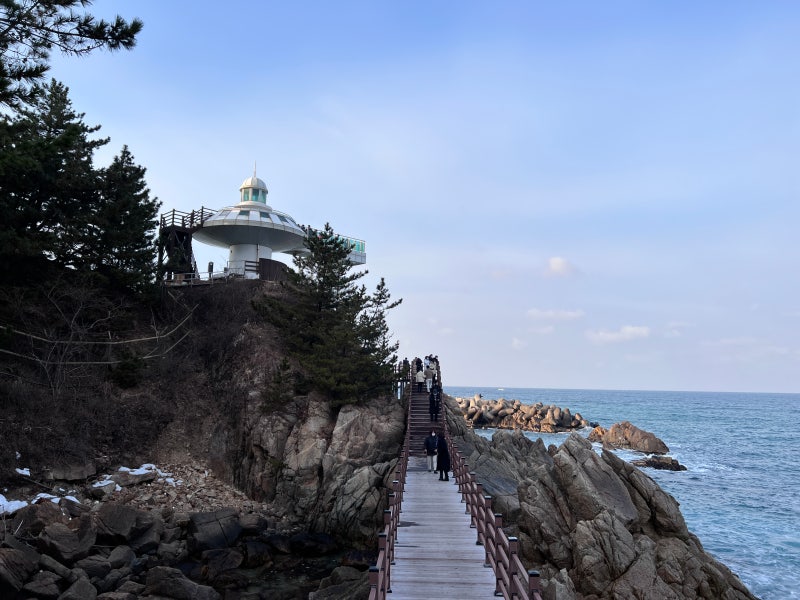 양양 가볼만한 곳 하조대 전망대스카이워크 하얀등대 볼거리 네이버 블로그