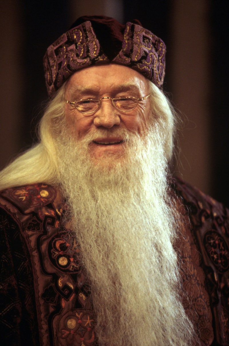알버스 덤블도어(알버스 퍼시벌 울프릭 브라이언 덤블도어)(Albus Dumbledore, Albus Percival ...