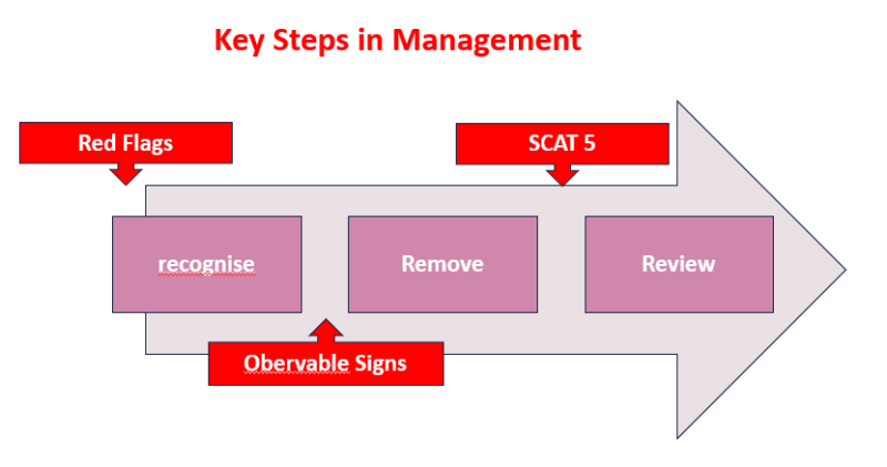 [스포츠 뇌진탕 Part3] SRC Assessment Tool, SCAT5 : 네이버 블로그