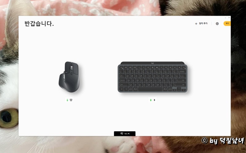 로지텍 Logi Option+ 옵션 플러스 베타 : 네이버 블로그
