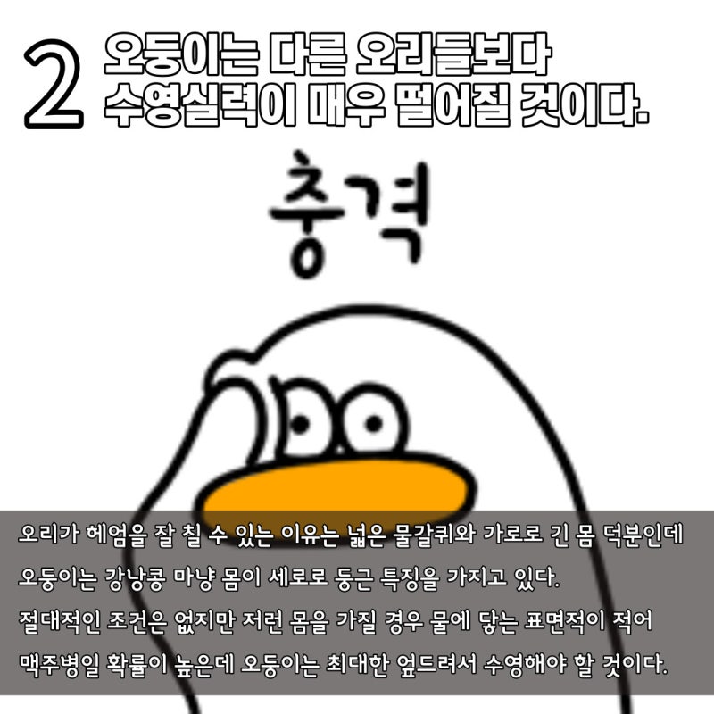 [수의사가 보는 동물 캐릭터] 이모티콘 오둥이, 오둥이 짤 : 네이버 블로그