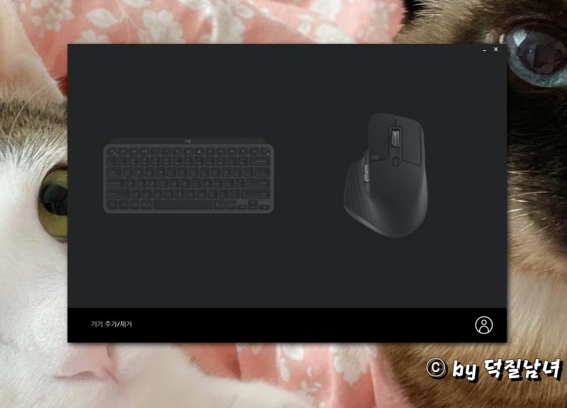 로지텍 Logi Option+ 옵션 플러스 베타 : 네이버 블로그