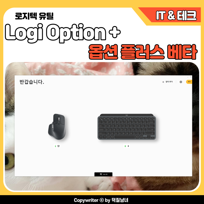 로지텍 Logi Option+ 옵션 플러스 베타 : 네이버 블로그