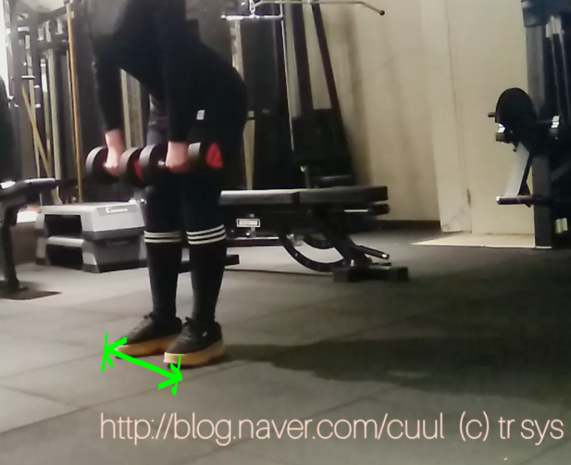 덤벨 등운동 남자 여자 등근육 운동 루틴 벤트오버 덤벨로우 원암 덤벨로우 등살빼기 운동 네이버 블로그