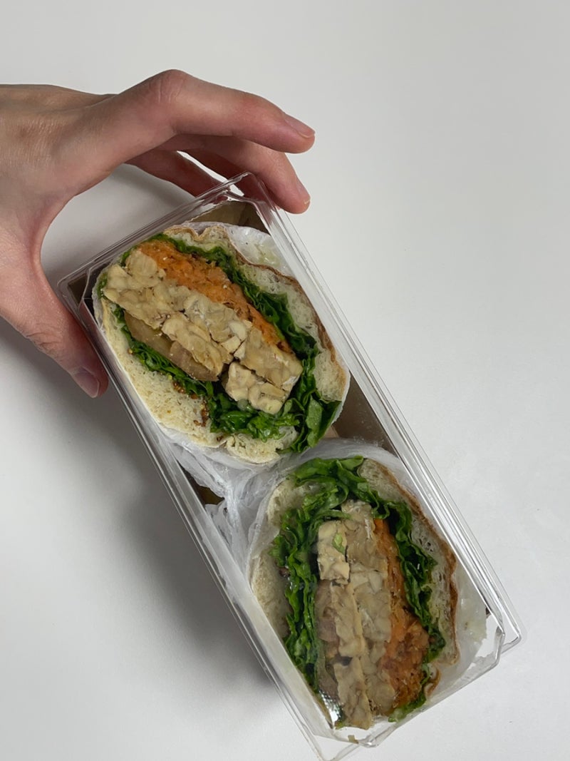 파아프 템페 인도네시아 발효 콩 템페 고단백 건강 다이어트 식단 맛칼로리레시피 네이버 블로그