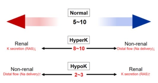 TTKG(Trans-tubular Potassium Gradient) : 네이버 블로그
