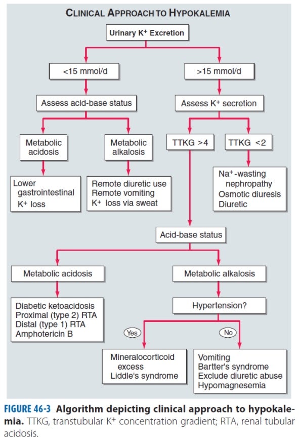 TTKG(Trans-tubular Potassium Gradient) : 네이버 블로그