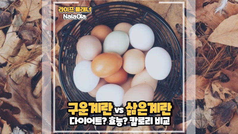 구운계란 Vs 삶은계란 뭐가 좋을까 구운달걀 먹으면 다이어트 효능 칼로리 네이버 블로그