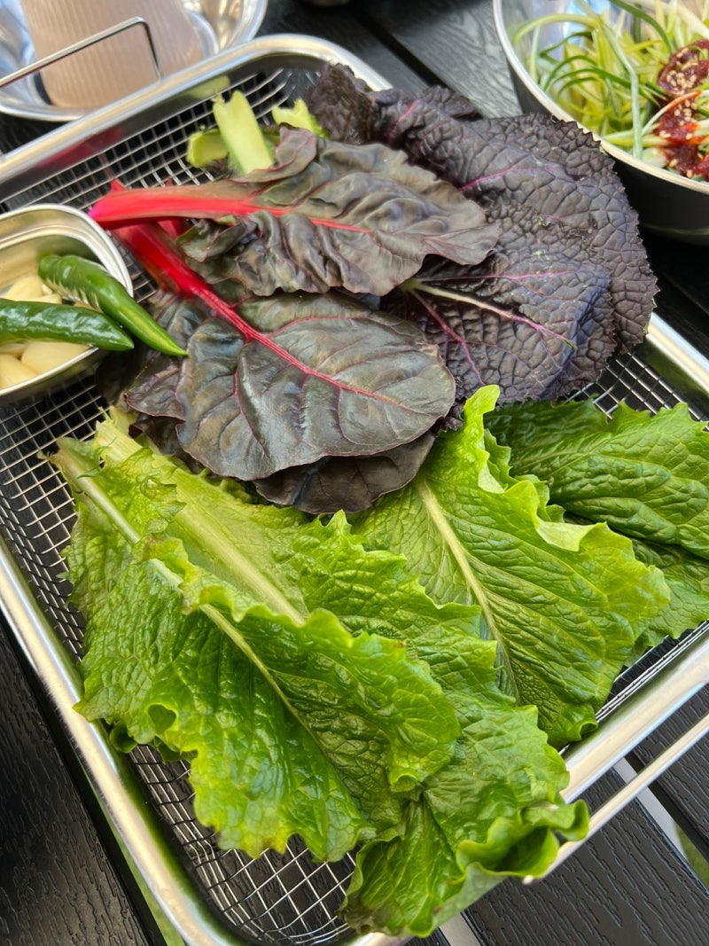 광주근교 담양맛집 론다 캠핑분위기 고기집 네이버 블로그