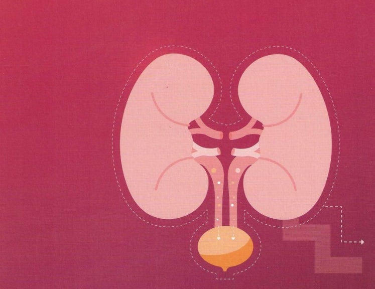 슈글렛정, Suglat (이프라글리플로진, ipragliflozin) : 네이버 블로그