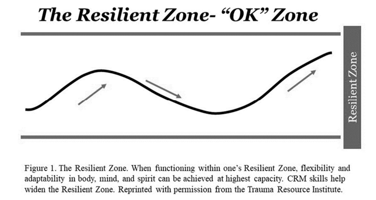 [스트레스] 마음의 여유를 넓히다! Resilient Zone에 주목! : 네이버 블로그