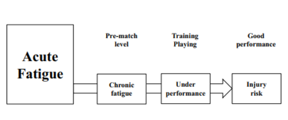 [PART1 회복의 중요성] Post-game Recovery Techniques in football / 축구경기 후 회복 ...